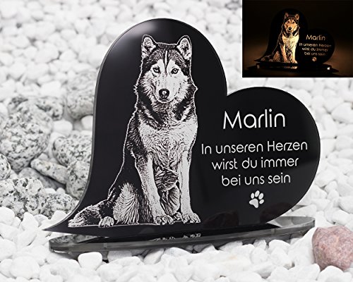 Gedichte & Trauersprüche für den Abschied vom Hund
