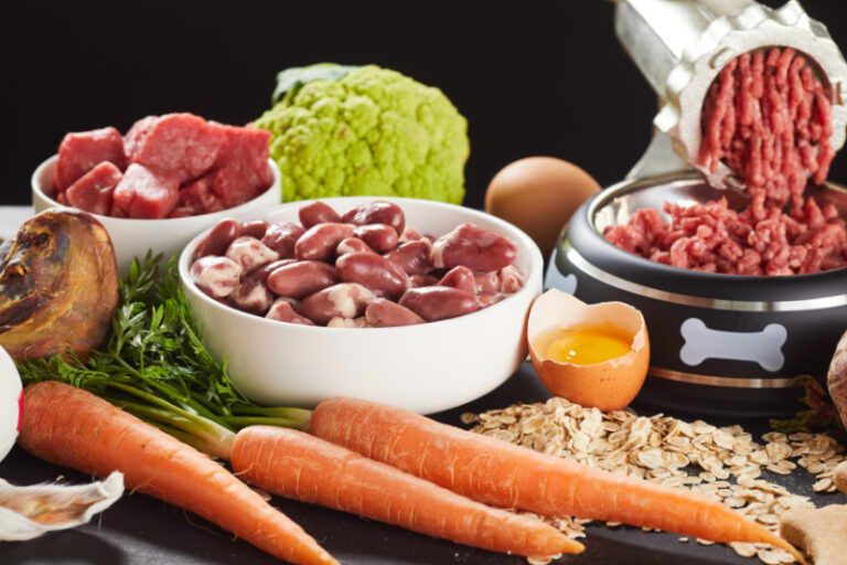 Hunde BARFen: Vorteile, Zutaten, Mengen & Tipps - Hund-als-Haustier.de ...